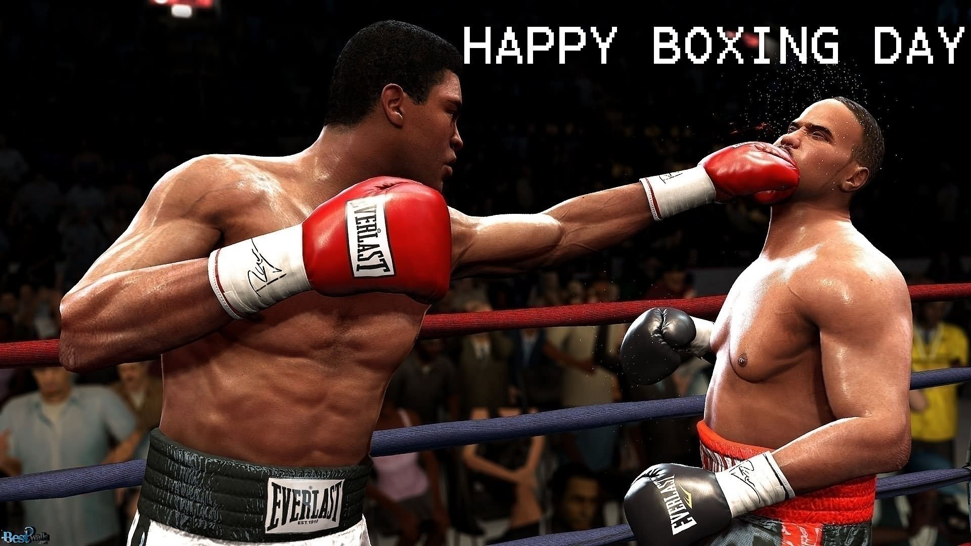 Happy Boxing Day Funny Images 2024 - Teal Smiles