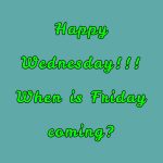 Wednesday Funny Quotes That Will Make Your Day - Teal Smiles