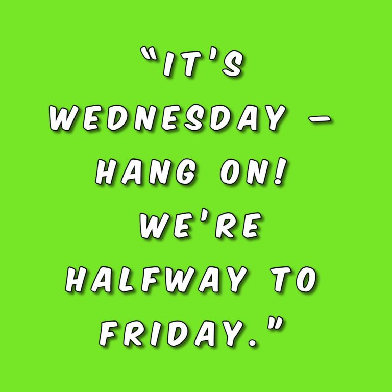 Wednesday Funny Quotes That Will Make Your Day - Teal Smiles