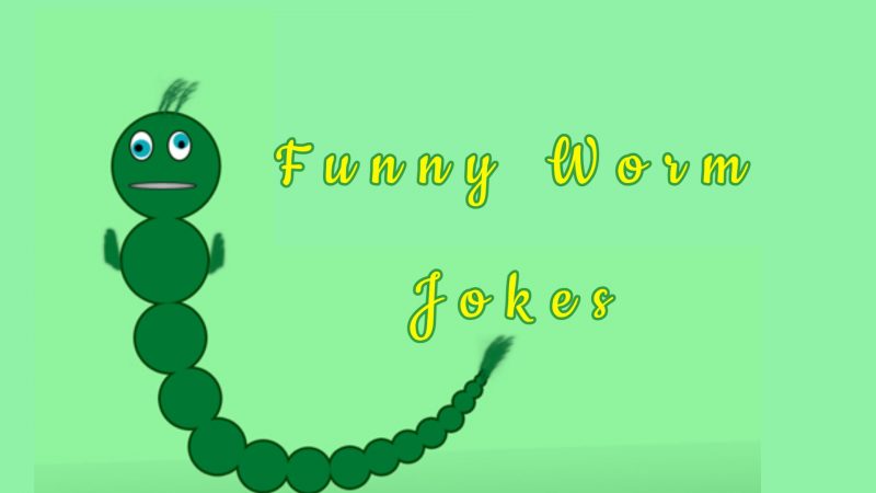 Hilarious Jokes About Worm - Teal Smiles