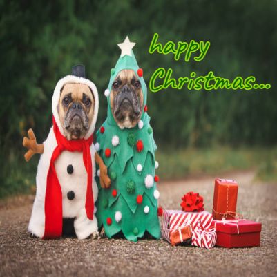 Merry Christmas Status Images 2025 - Teal Smiles
